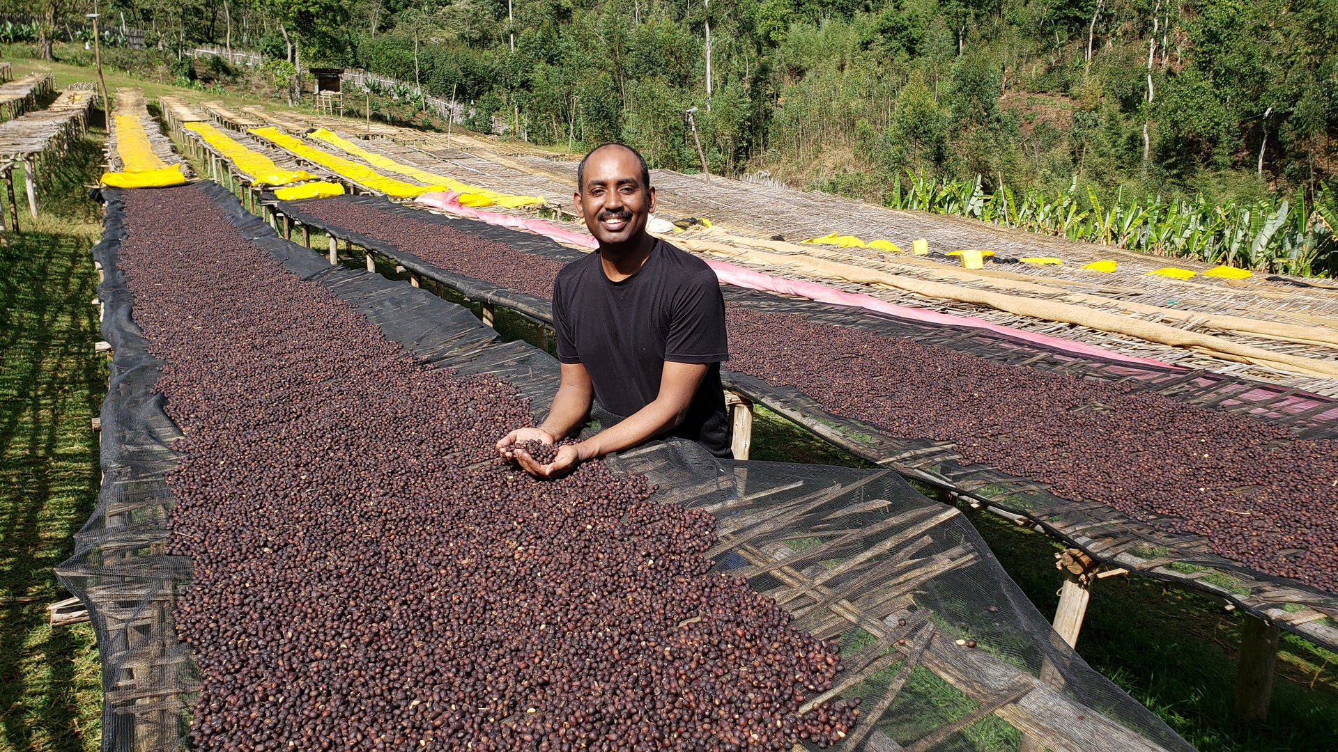 Green Coffee – Finest Cup